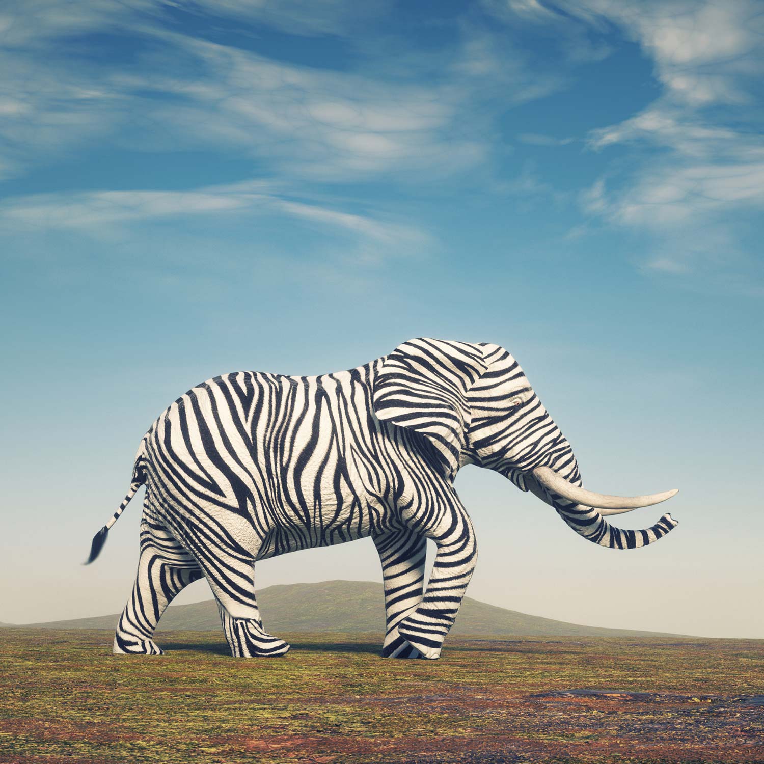 Digital Printing | THIMM