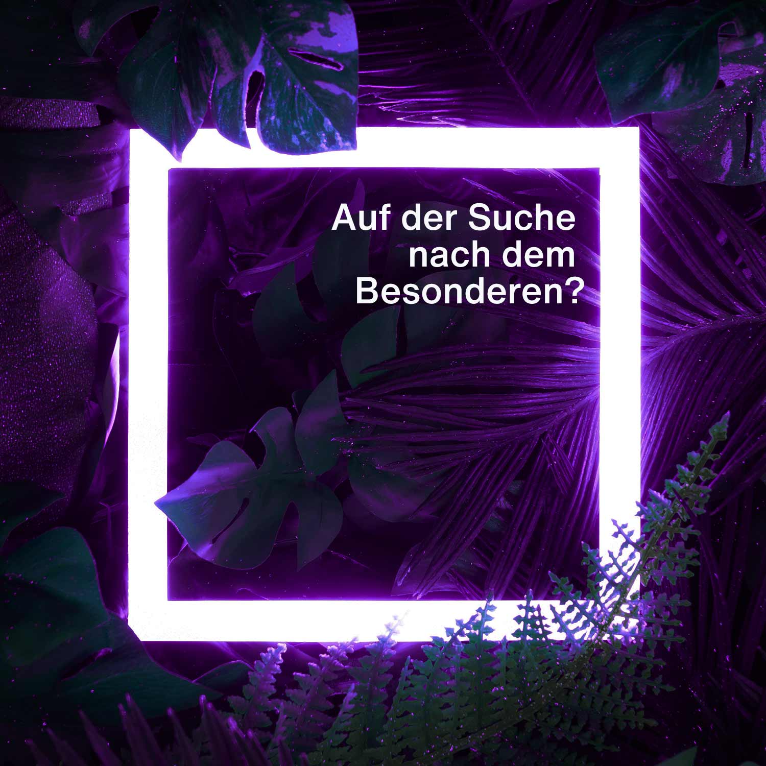 Digital Printing | THIMM